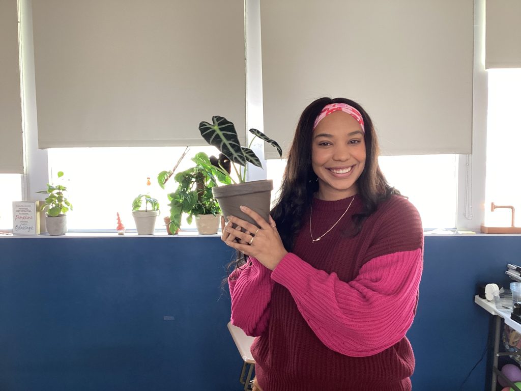 Cb Cotton - A Complete Guideline In 2024!