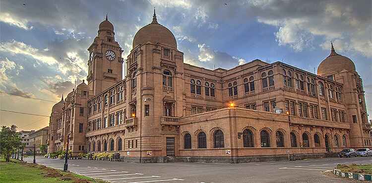 Karac Pendragon Plant - Lets Dive into The Amazing Journey!